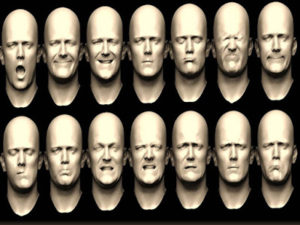 Why reading facial expressions is important - PsychMechanics