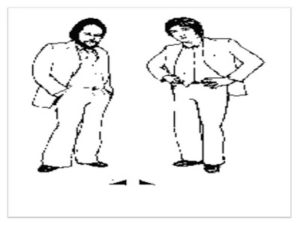 Body orientation in nonverbal communication - PsychMechanics