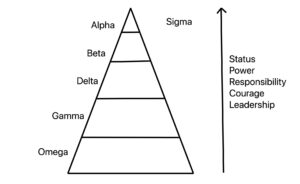 Male hierarchy test: What type are you? - PsychMechanics